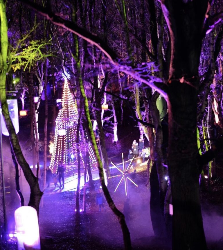 Magical Woodland Cheshire 2025, Opening Times, Tickets - Visit Chester